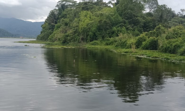 Menelusuri Keunikan Taman Nasional Lore Lindu: Surga Trekking di ...